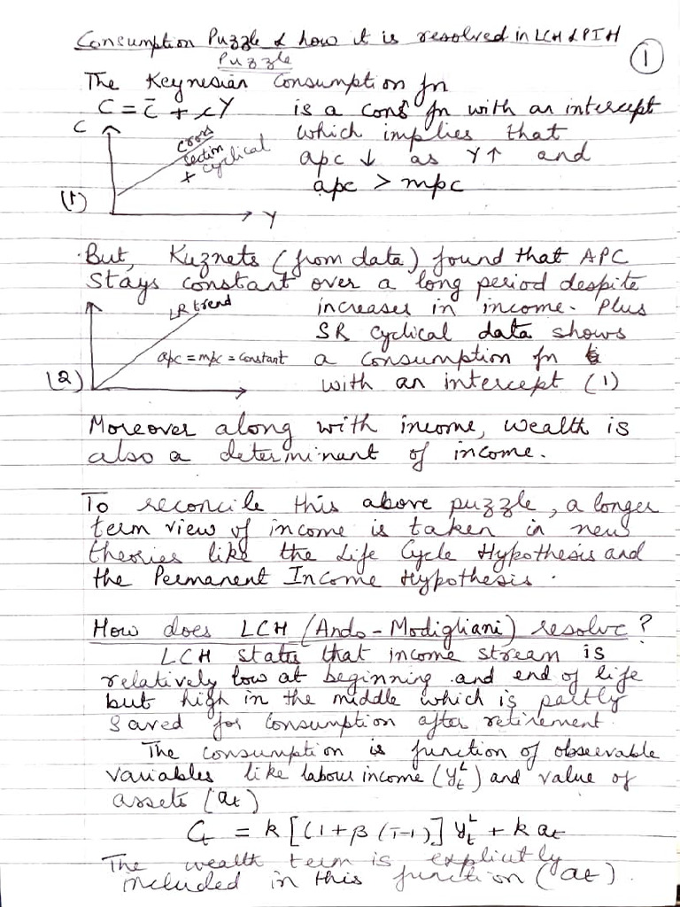 Consumption Puzzle | PDF