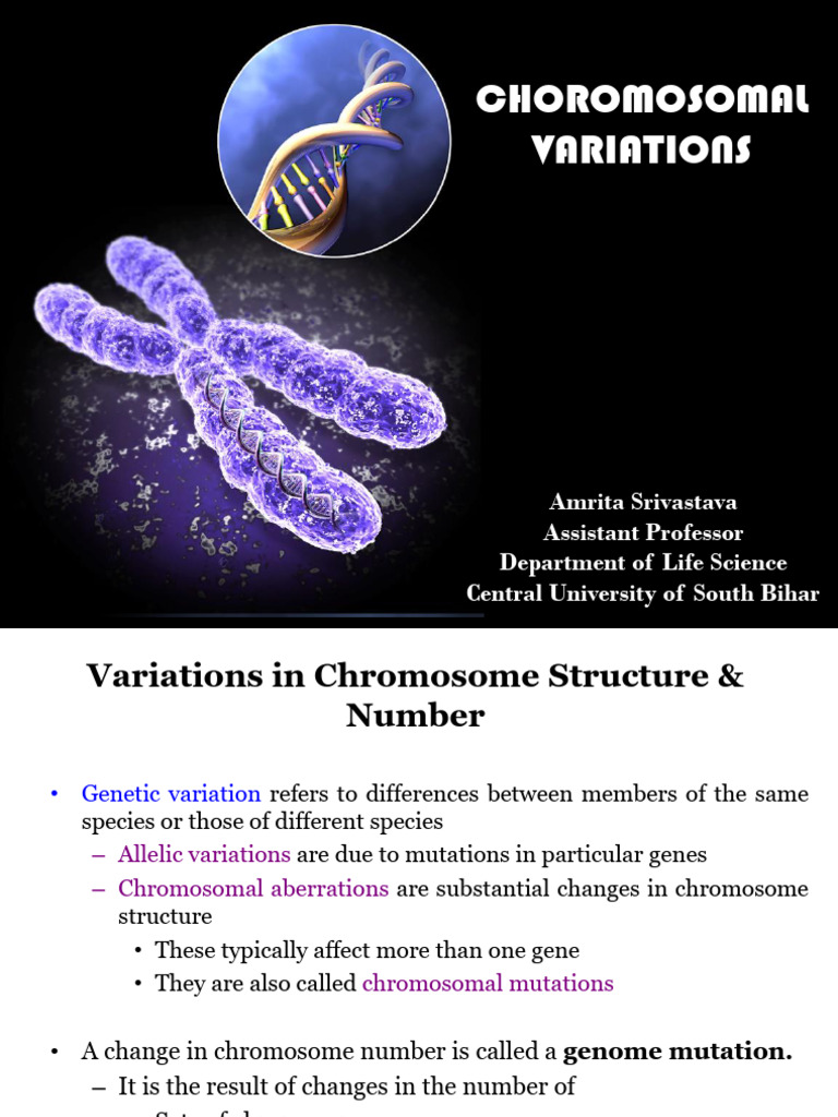 Chromosomal Variations | PDF | Biology | Biotechnology