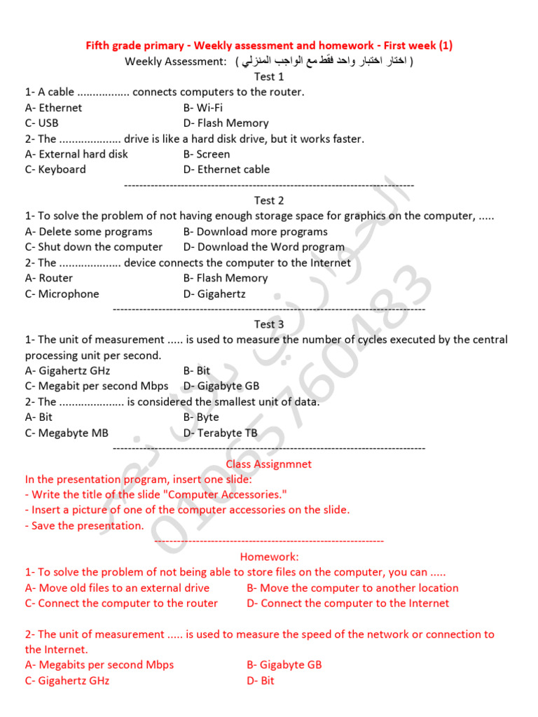 Fifth Grade Primary | PDF | Phishing | Computer Network