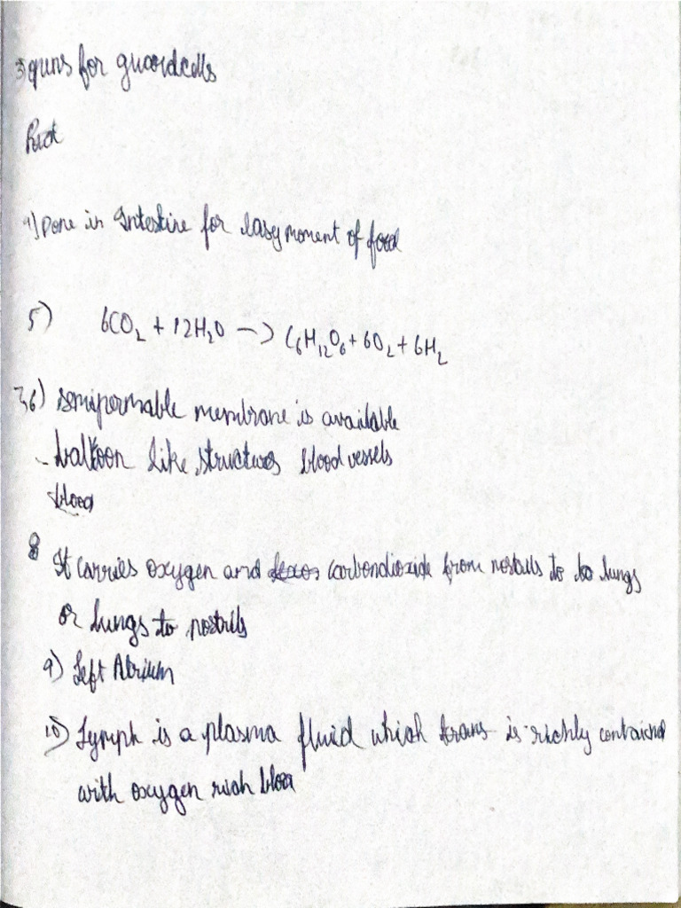 Scanned Document | PDF