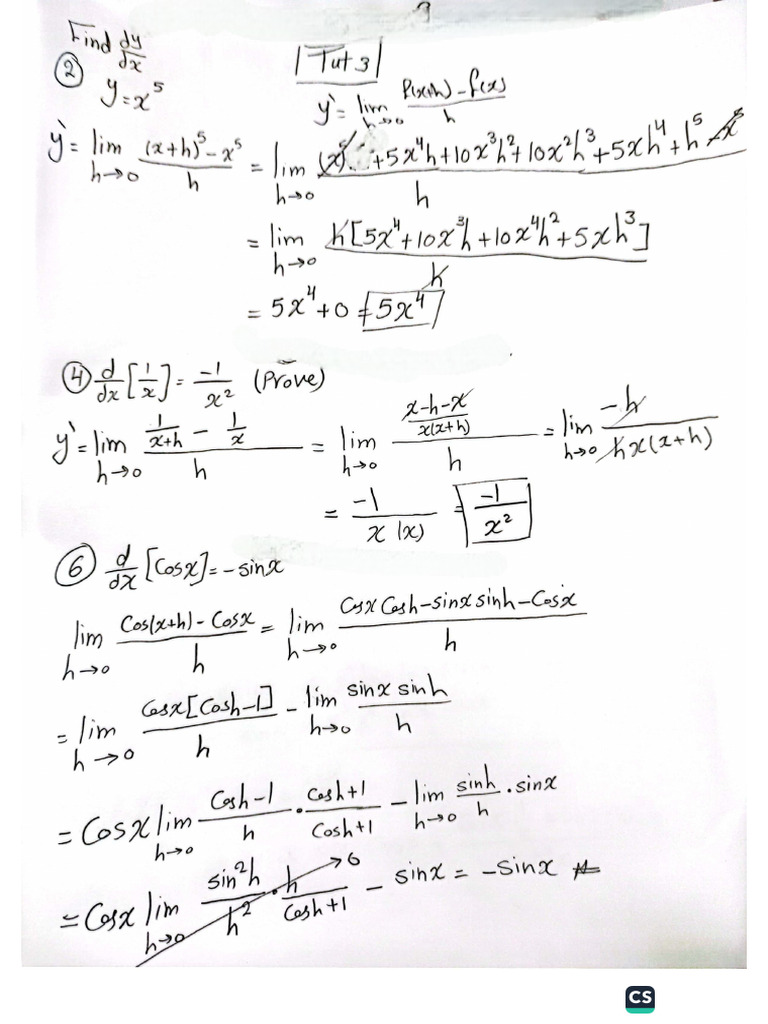 Calculus 1 Tut 3 | PDF