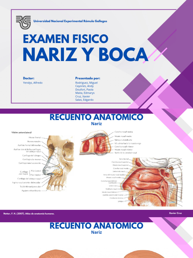Nariz y Boca - 20241106 - 190035 - 0000 | PDF | Nariz humana | Medicina CLINICA