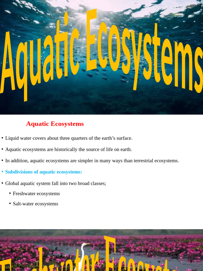 Aquatic Ecosystems Overview | PDF | Oceans | Aquatic Ecosystem