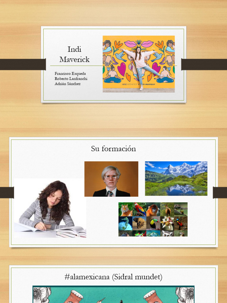 DiseñadorNac - Indi Maverick | PDF