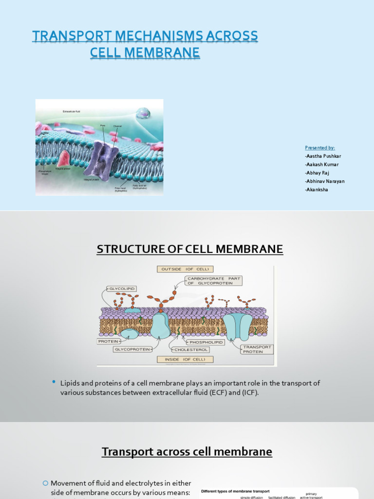 Transport Across Cell Membrane Final - 241204 - 214519 | PDF | Osmosis ...