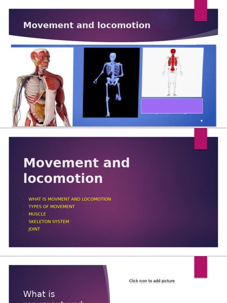 Movement and Locomotion | PDF