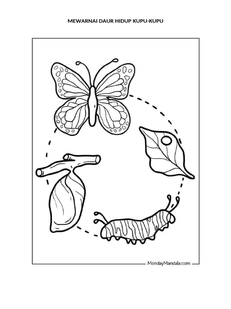 LKPD Daur Hidup Kupu-Kupu | PDF