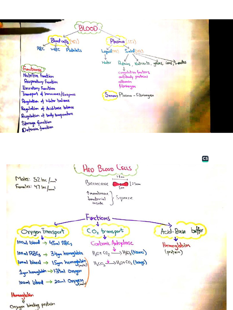 Medical Gateway Access via CamScanner | PDF