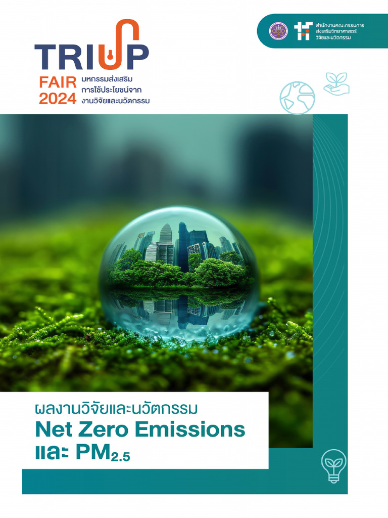 Net Zero Emissions | PDF