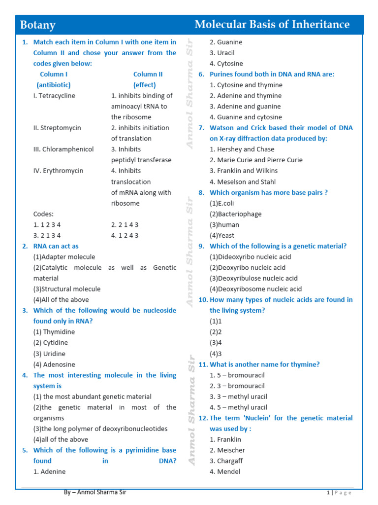 Molecular Basis of Inheritance | PDF | Operon | Dna
