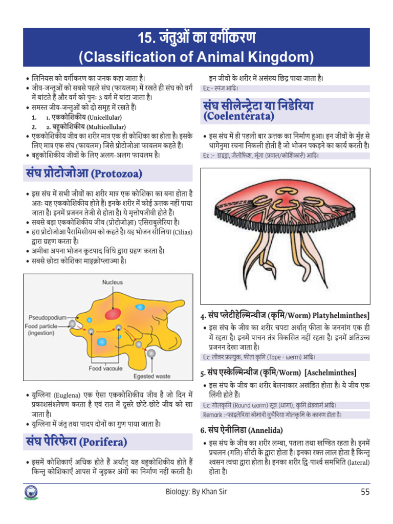 Classification Animal Kingdom - Printable PDF | PDF