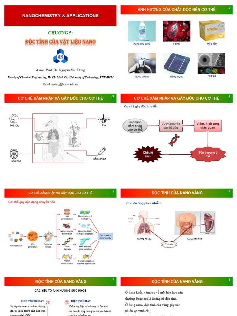 Chapter 5-Toxicity of Nanomaterials-P | PDF