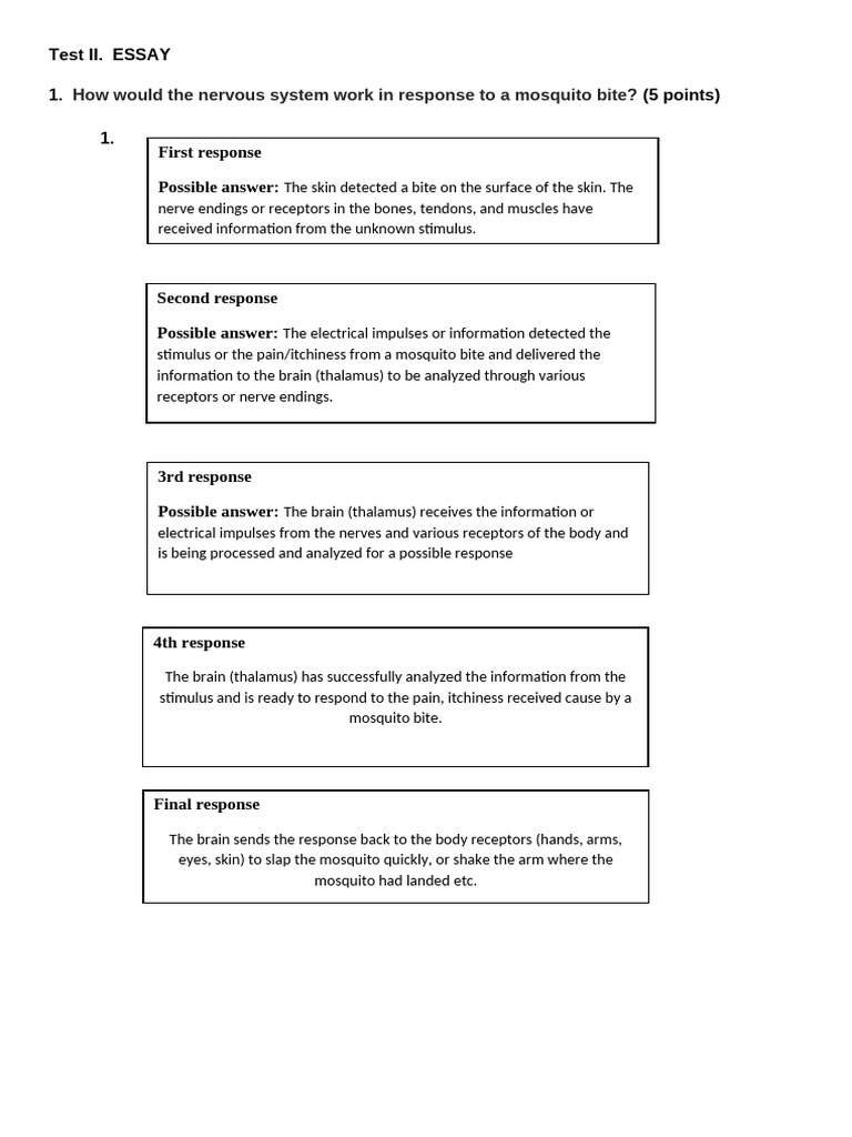 Unit 1.1.1 Nervous System Essay | PDF