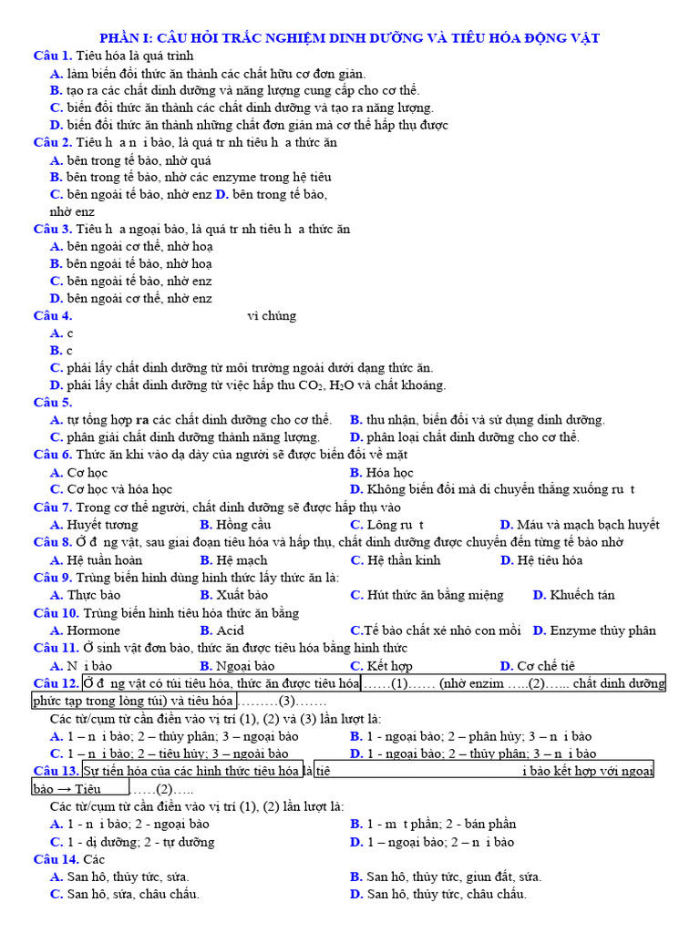 dorabot - io - 1734959233 - ĐỀ CƯƠNG ÔN TẬP BÀI 8-9-10 - HS | PDF