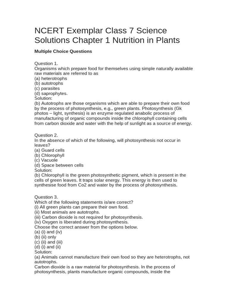 Class 7 Science: Plant Nutrition | PDF | Photosynthesis | Leaf