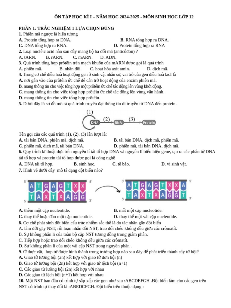 2ôn Tập Cuối Kì 1-Nhc-s12 | PDF