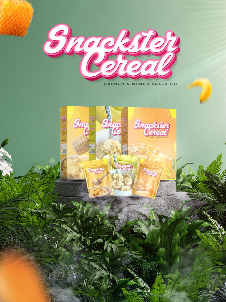MKT402 Term Papaer Snackster Cereal | PDF | Marketing Communications | Brand