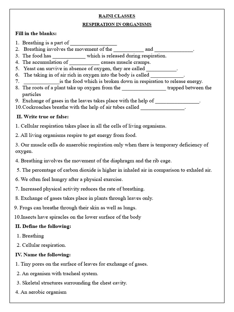 grade 7 Science- Practice worksheet of Respiration in organisms | PDF ...