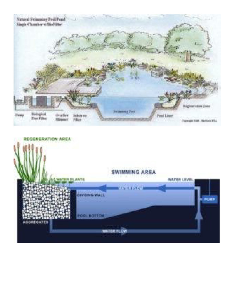 kolam renang alami | PDF