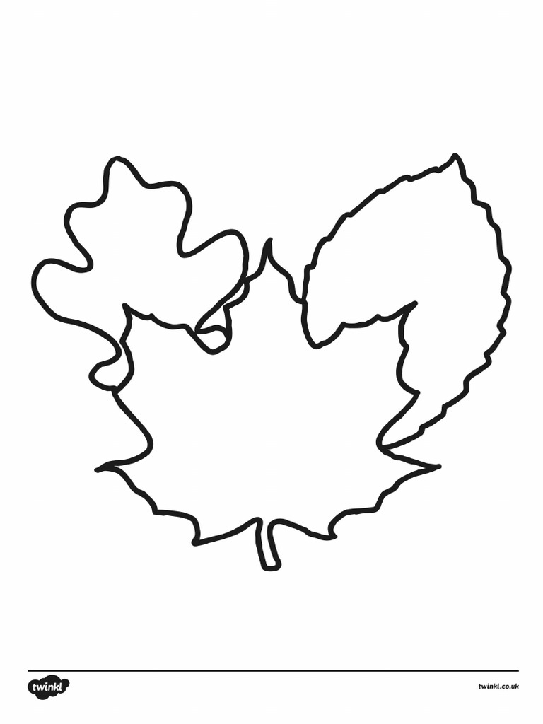 Autumn Colouring Pages | PDF