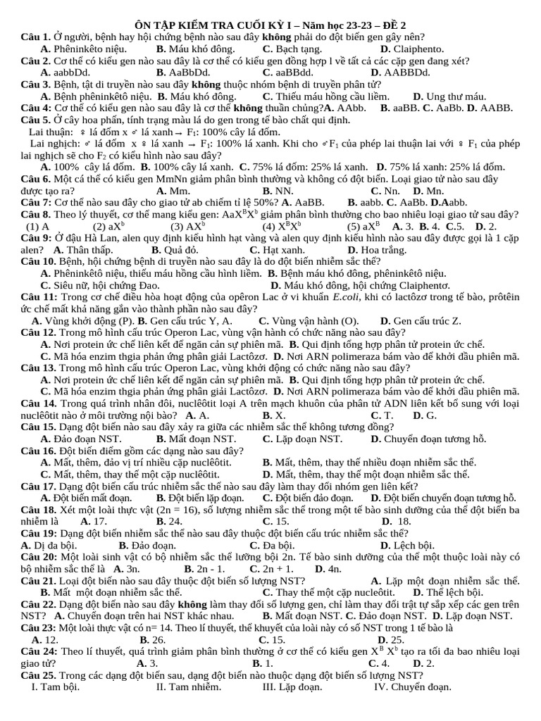 On 2023-De 2-HS | PDF