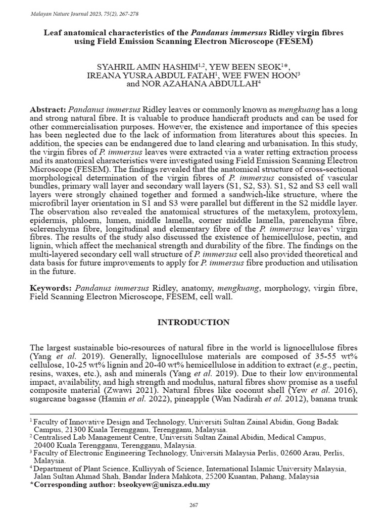 Pandanus - SAH Et Al 2023 | PDF | Leaf | Anatomy