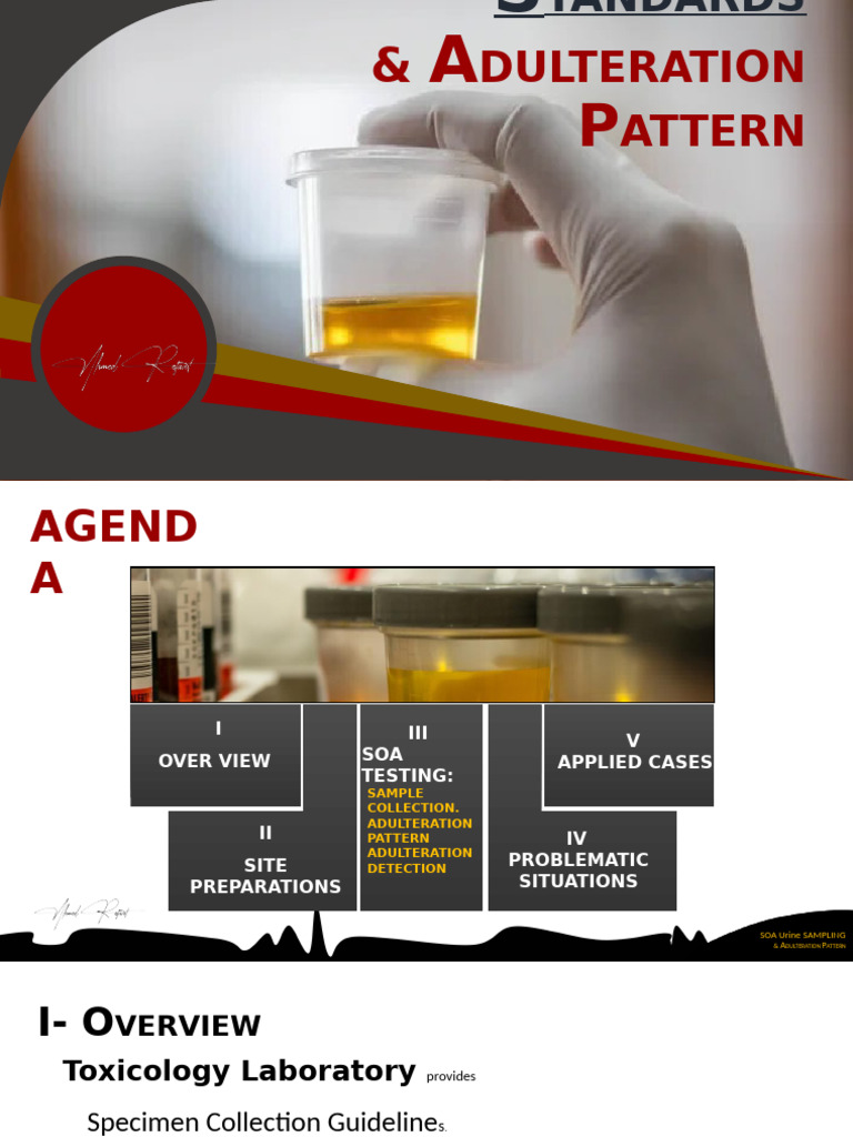 1 - SOA Urine Sample Adulteration Pattern | PDF | Detoxification | Urine