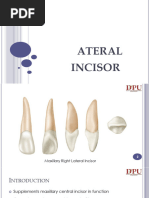 ENVELOPE OF DISCREPANCY Seminar 13 | PDF | Orthodontics | Dentistry ...