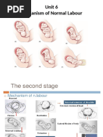 Mechanism of Labour: LOA & ROA Explained | PDF | Pelvis | Childbirth