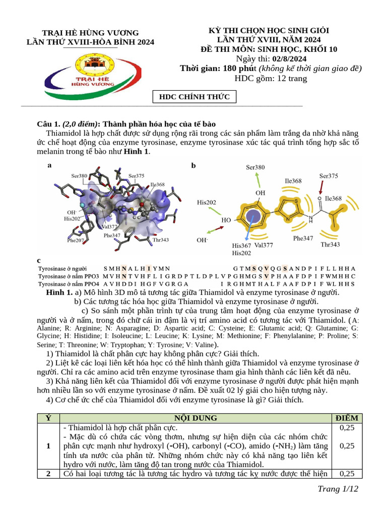 Đáp án THHV 2024 SINH LỚP 10 | PDF
