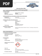 SDS - Spectrus NX1100 | PDF | Dangerous Goods | Toxicity