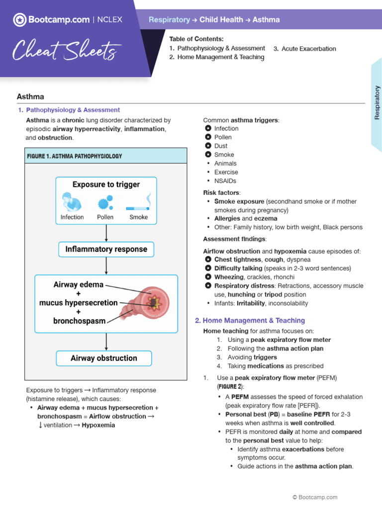 Asthma Cheat Sheet | PDF | Asthma | Exhalation