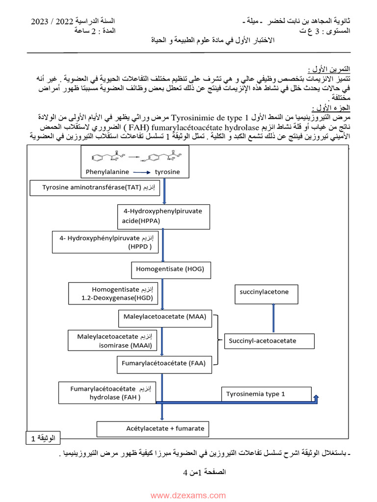 dzexams-3as-sciences-naturelles-668457 | PDF