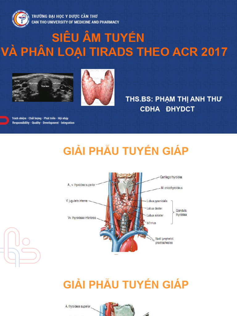 Acr-Tirads Bs Thu | PDF