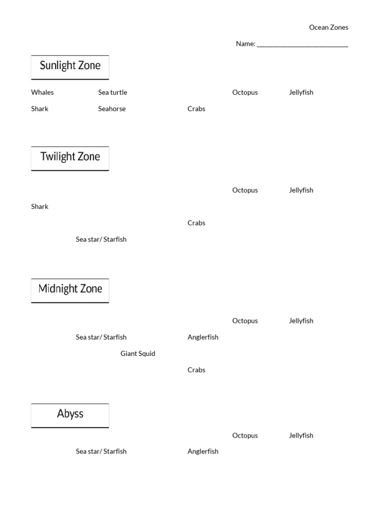 Ocean Zone Documentation Sheet - Teacher Key | PDF