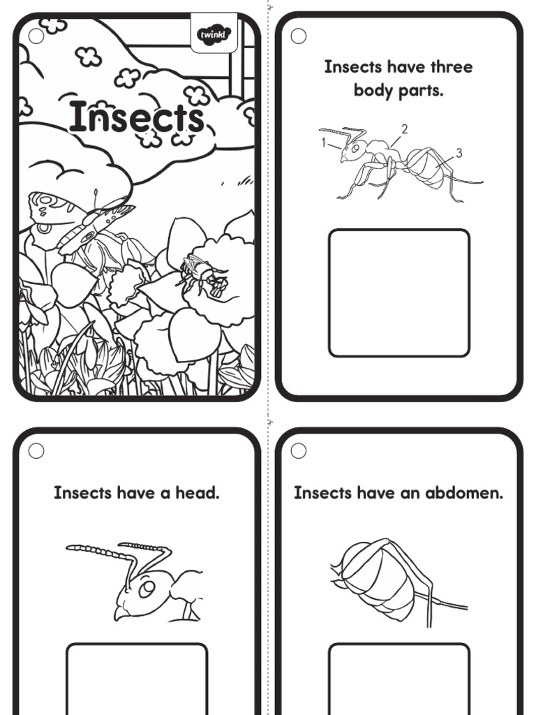BW Insects Adapted Reader | PDF