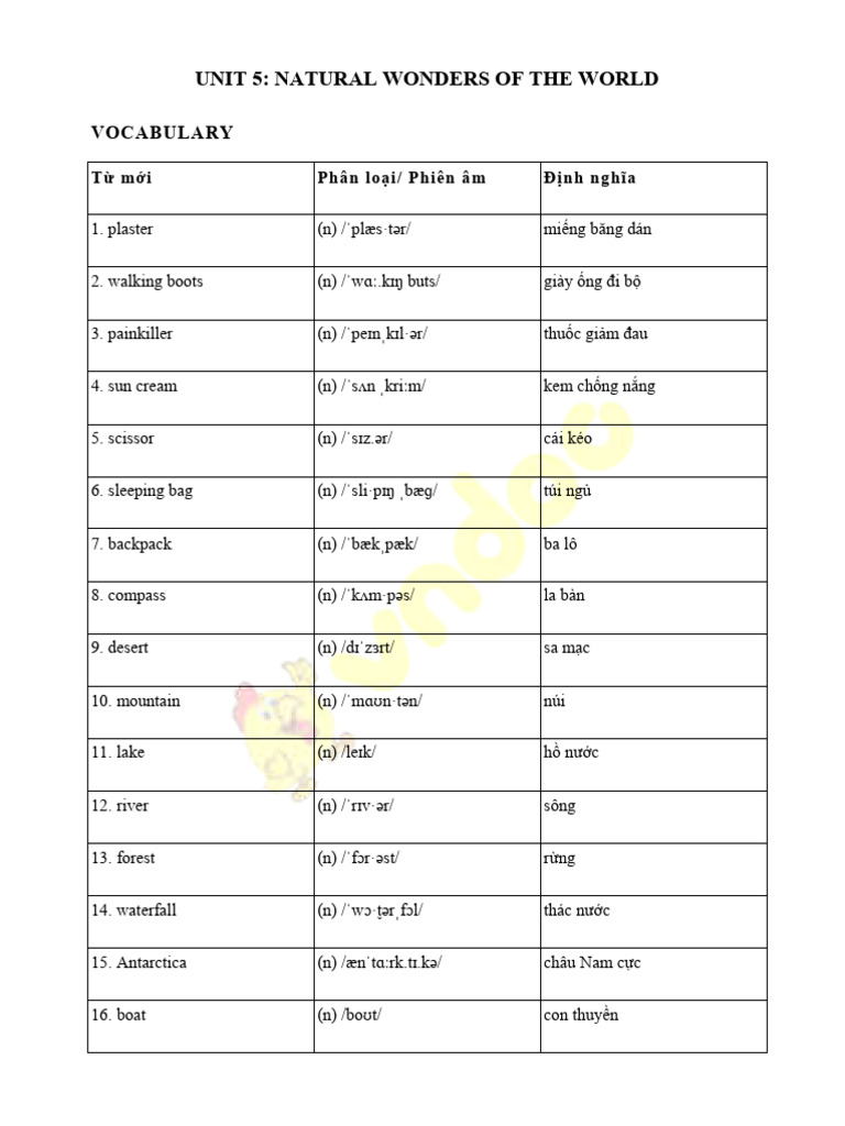 Unit 5 Vocabulary | PDF