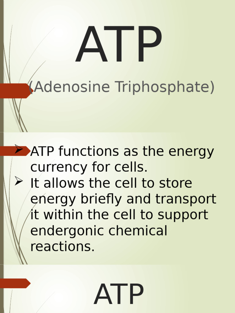 Adenosine Triphosphate | PDF