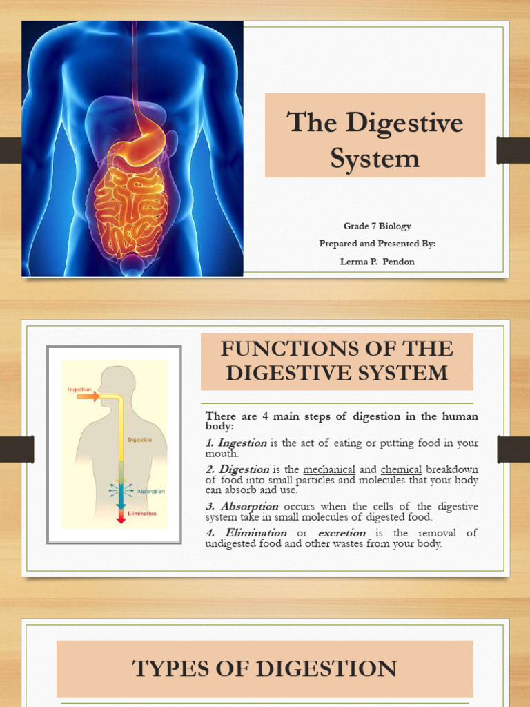 Grade7chapter1lesson1 Thedigestivesystem 220211152150 | PDF | Digestion ...
