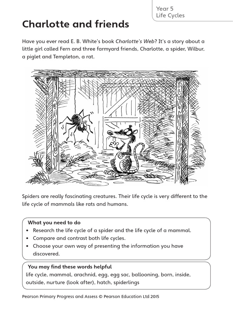 yr5_LC_test | PDF