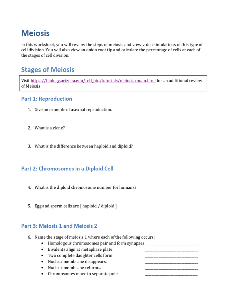 Meiosis Worksheet | PDF