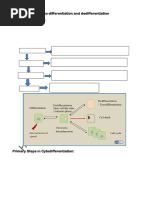 Permanent Slide Preparation Guide | PDF | Histology | Fixation (Histology)