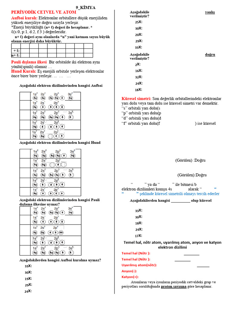 9 Tarama 2 2024 A 5aralık | PDF