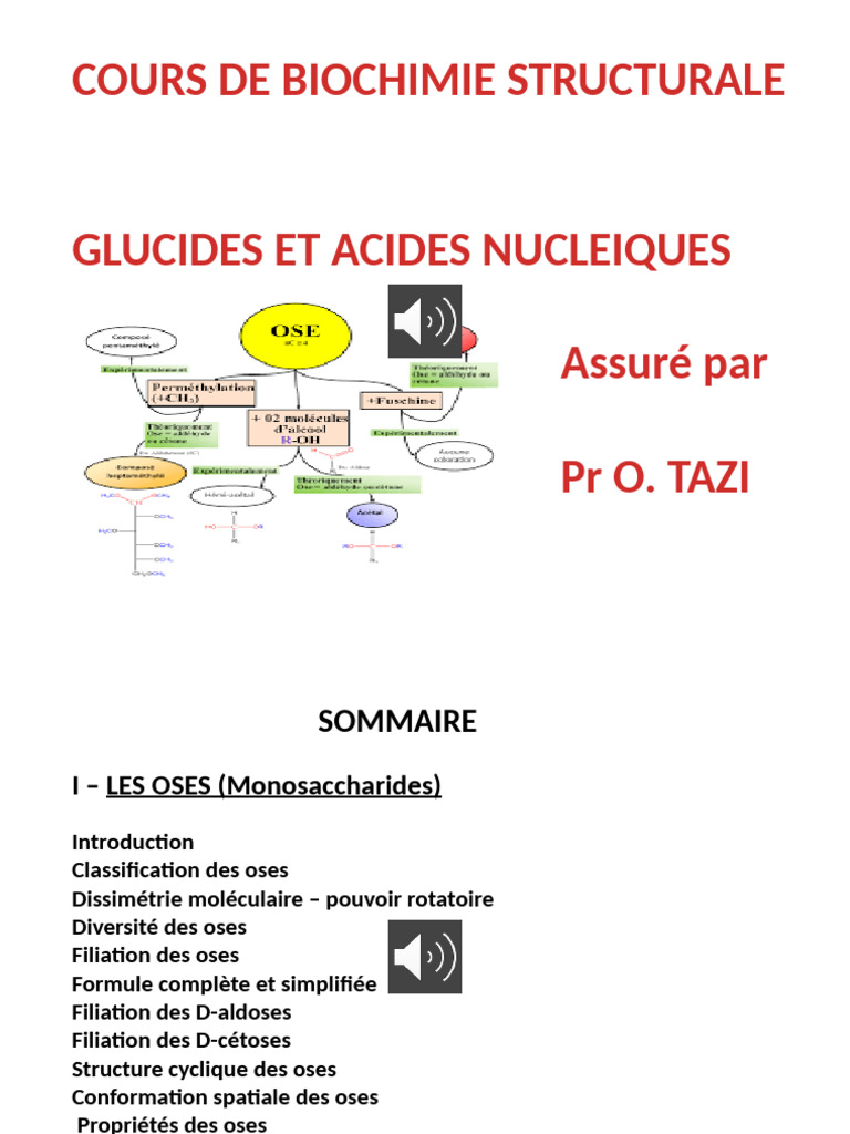 Cours Glucide 2 | PDF | Glucide | ADN