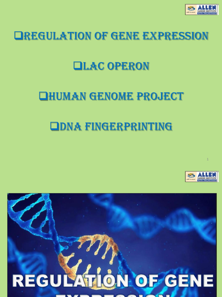 Gene Regulation and Lac Operon | PDF