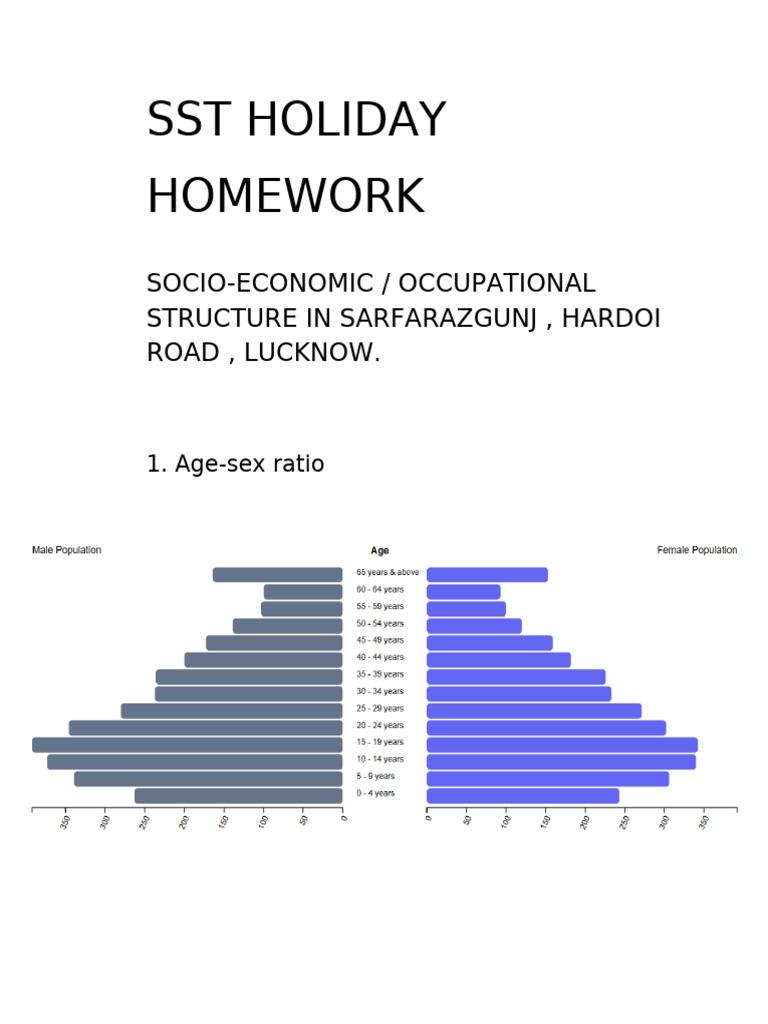 SST Holiday Homework | PDF
