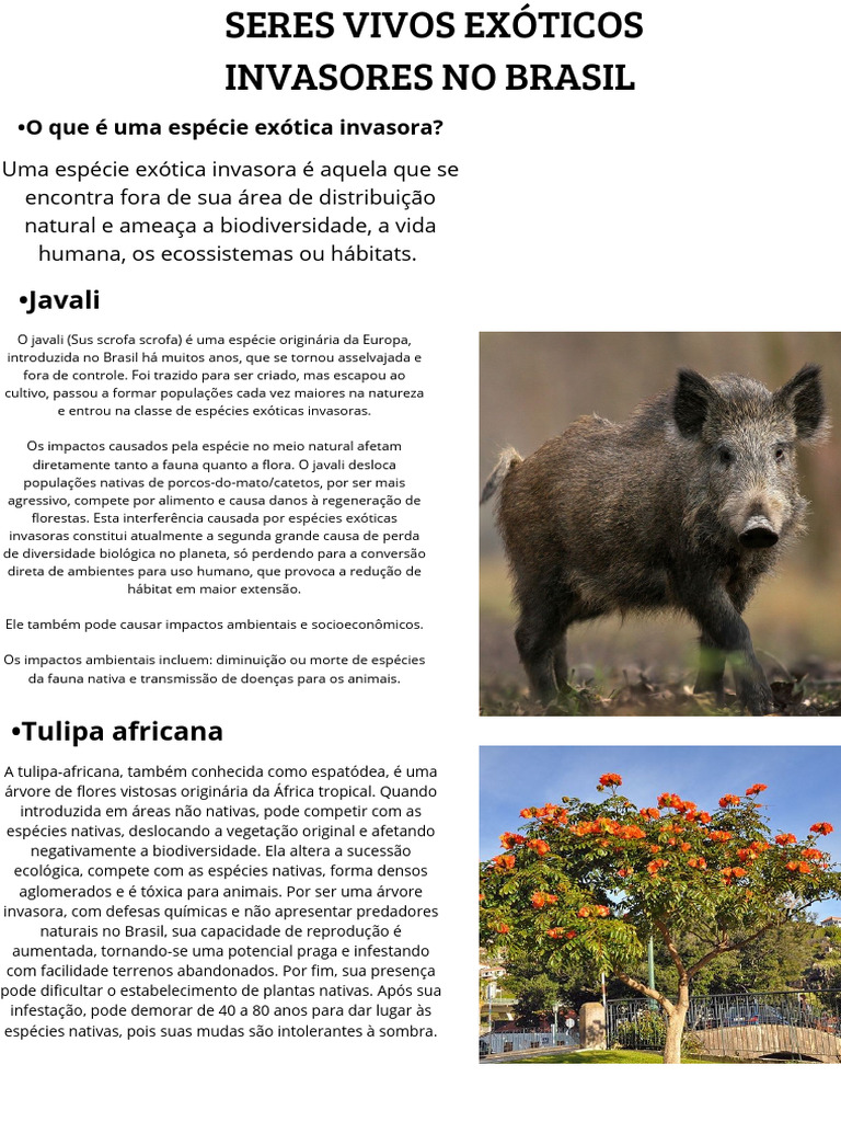 SERES VIVOS EXÓTICOS INVASORES NO BRASIL_20241007_101857_0000 | PDF