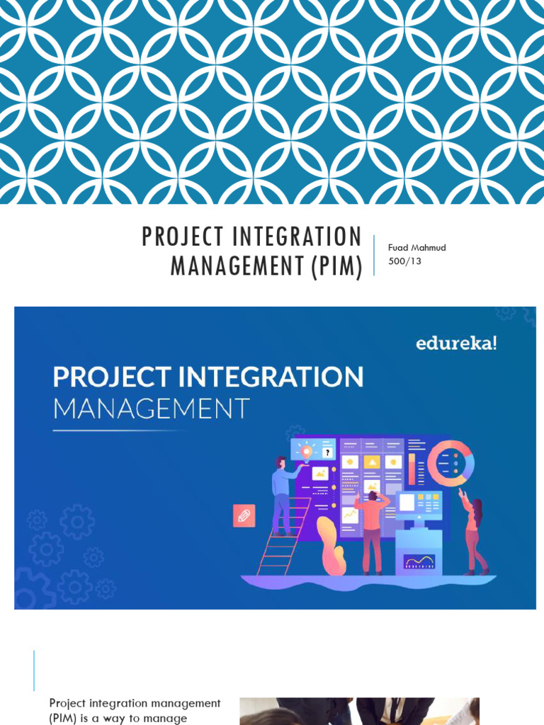 Fuad Project Integration Management Pim 1 Pdf