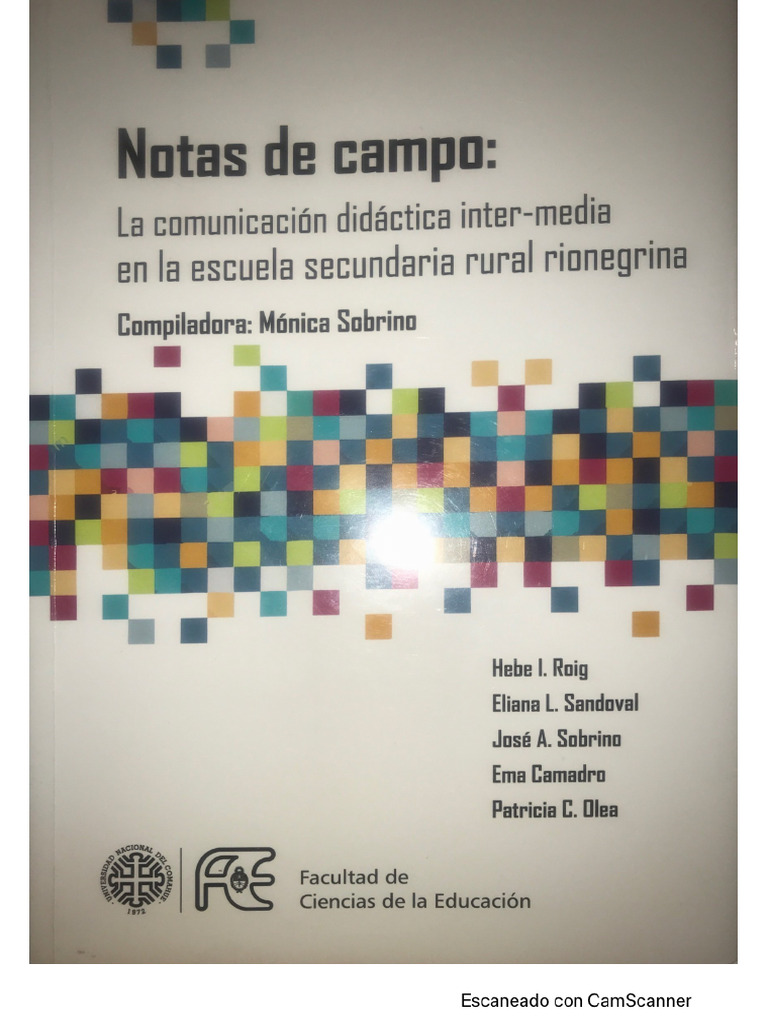 Sobrino (2018) Notas de Campo | PDF