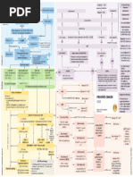 CHOA Physician's Group Referral Form | PDF | Gastroenterology | Liver